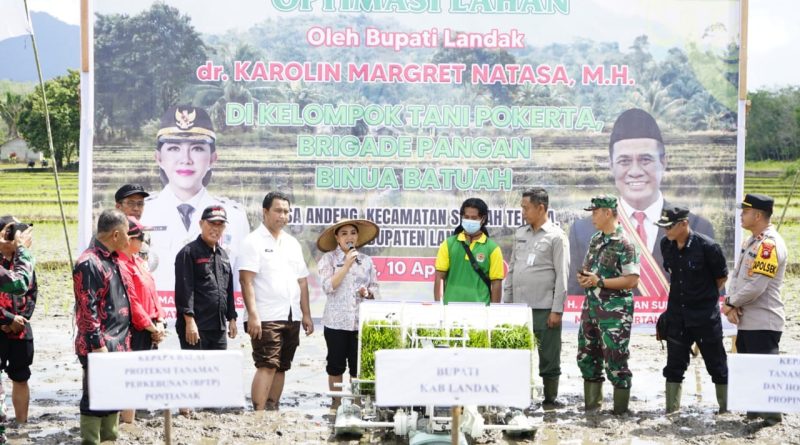 Landak Raih Capaian Tertinggi LTT Padi di Kalimantan Barat – Landaknews.com